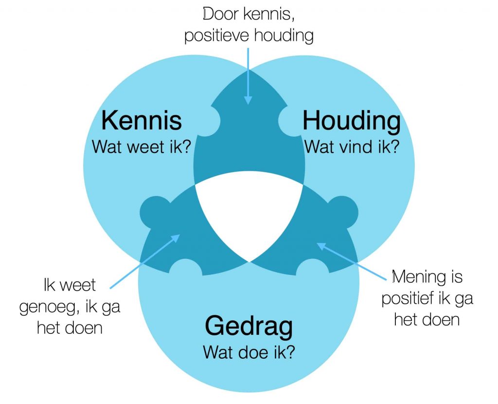 Praktijkgids Teamontwikkeling (2020)